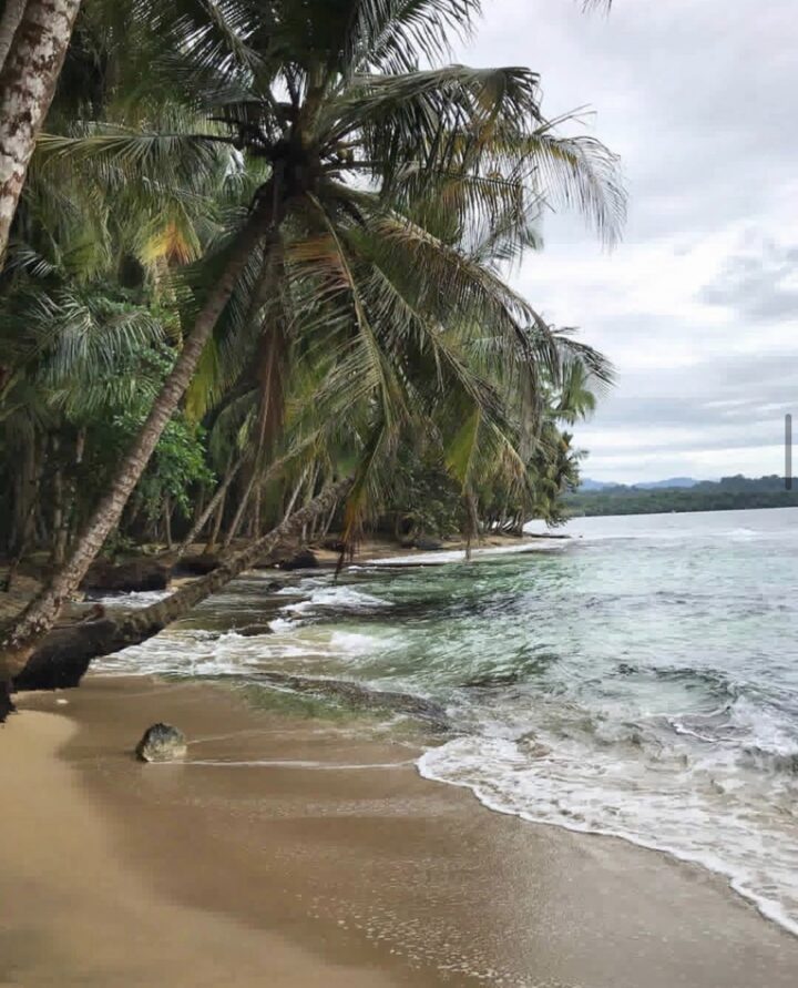 How I Exceeded My Full-Time Salary Working Part Time From The Beach In ...
